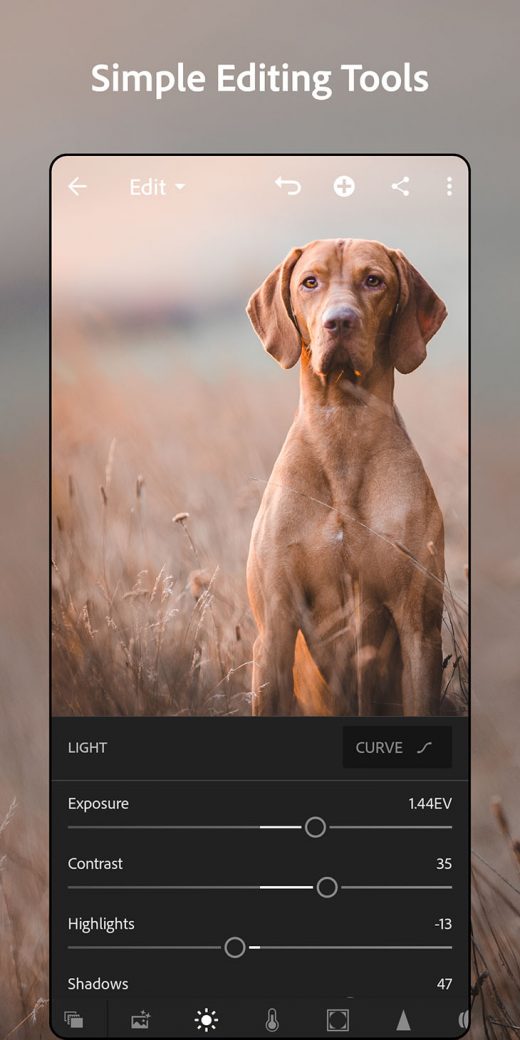 Adobe Lightroom MOD APK 8.0.1 (Premium Unlocked) for Android