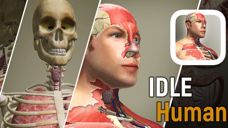Idle Human MOD APK 1.13 (Unlimited Crystal) for Android