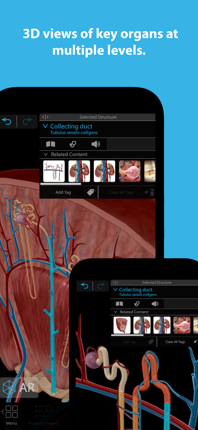 Human Anatomy Atlas 2023 MOD APK v2023.03.000 (Unlocked) for Android Human Anatomy Atlas 2023 MOD APK v2023.03.000 (Unlocked) for Android